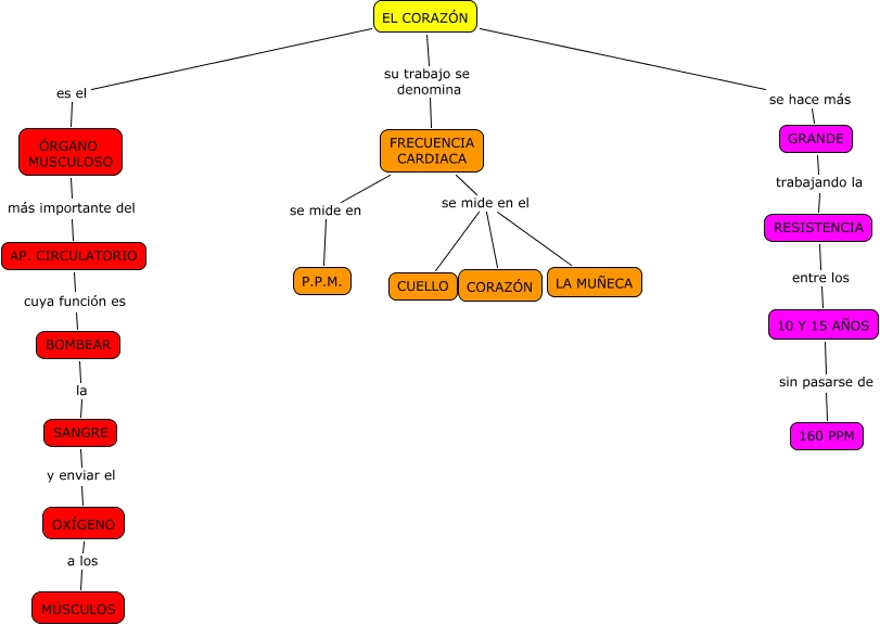 CORAZÓN (Lucía Re)